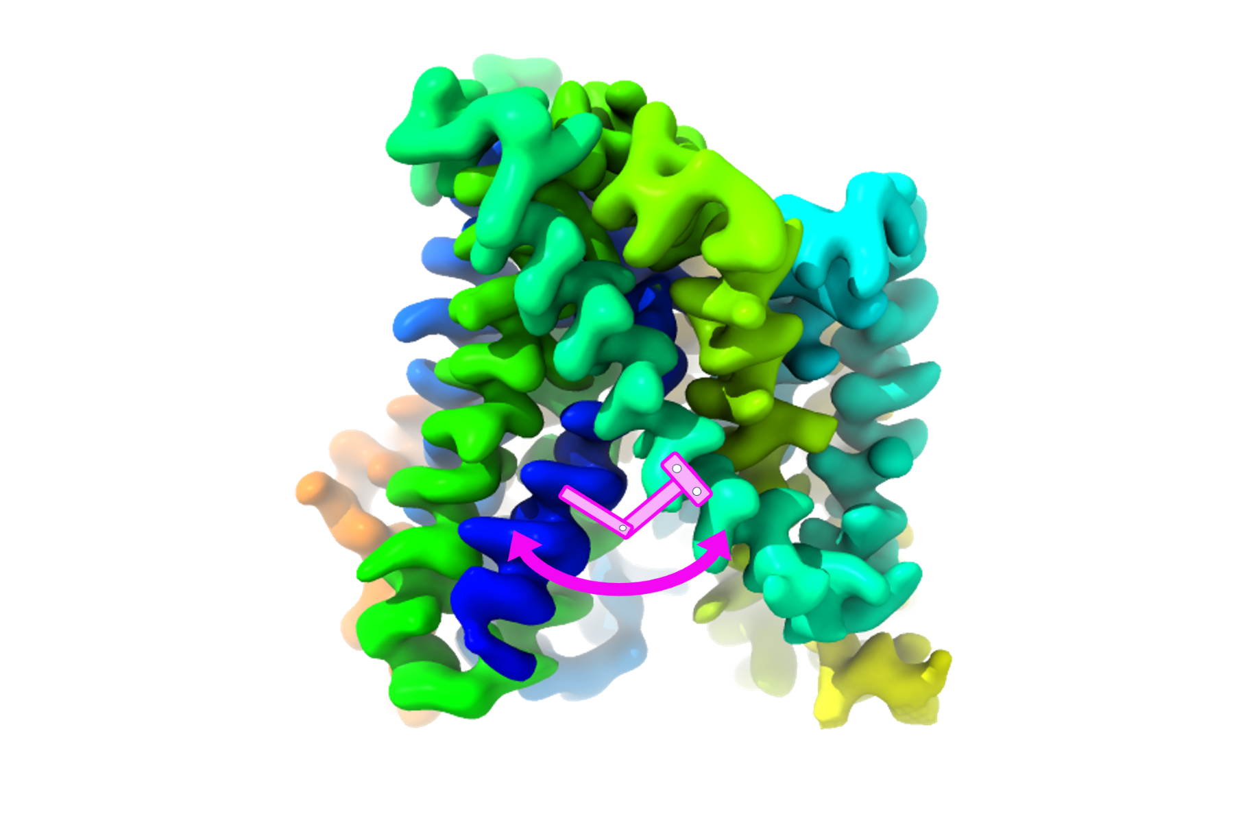 Científics de l'IRB Barcelona descobreixen un interruptor molecular que regula la porta d ...